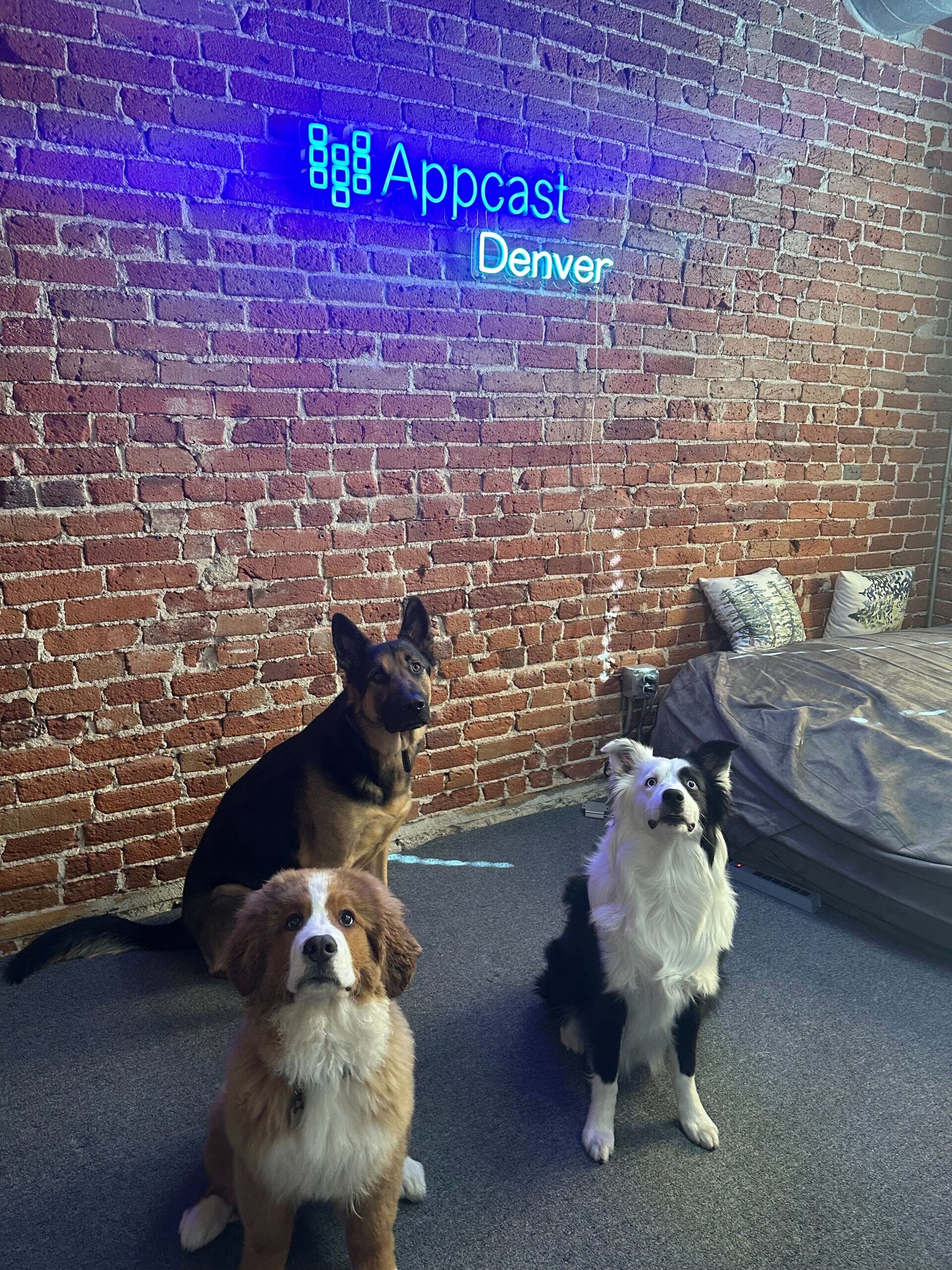 About Us - Our Story | Job Advertising Software | Appcast